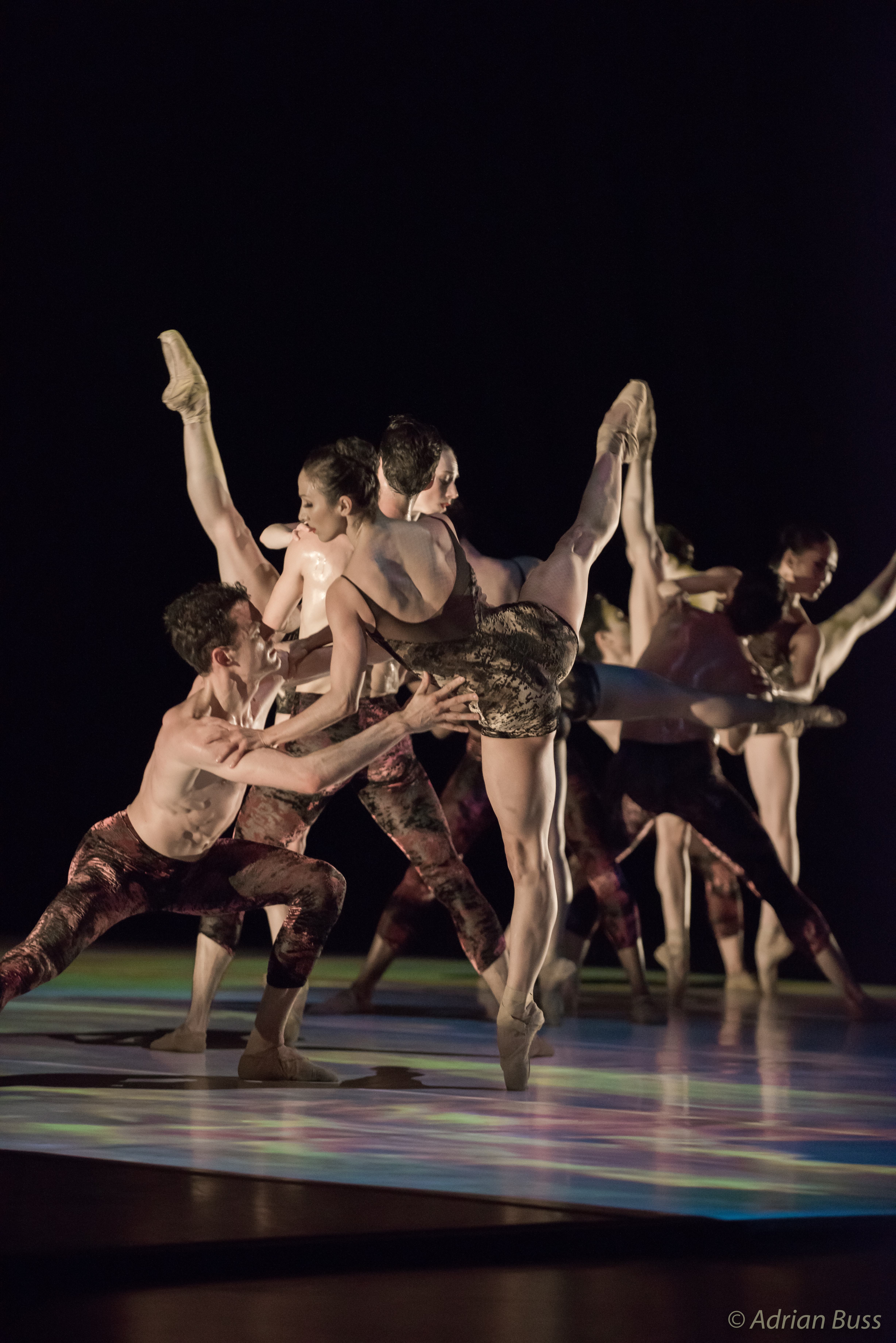 Dance Gallery | Adrian Buss